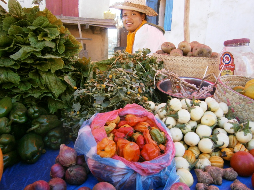 El país Madagascar - Todo lo que debes saber antes de ir a Madagascar